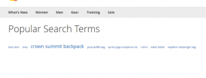 How to Create and Manage Search Terms on Your Magento 2 Site | Customer ...